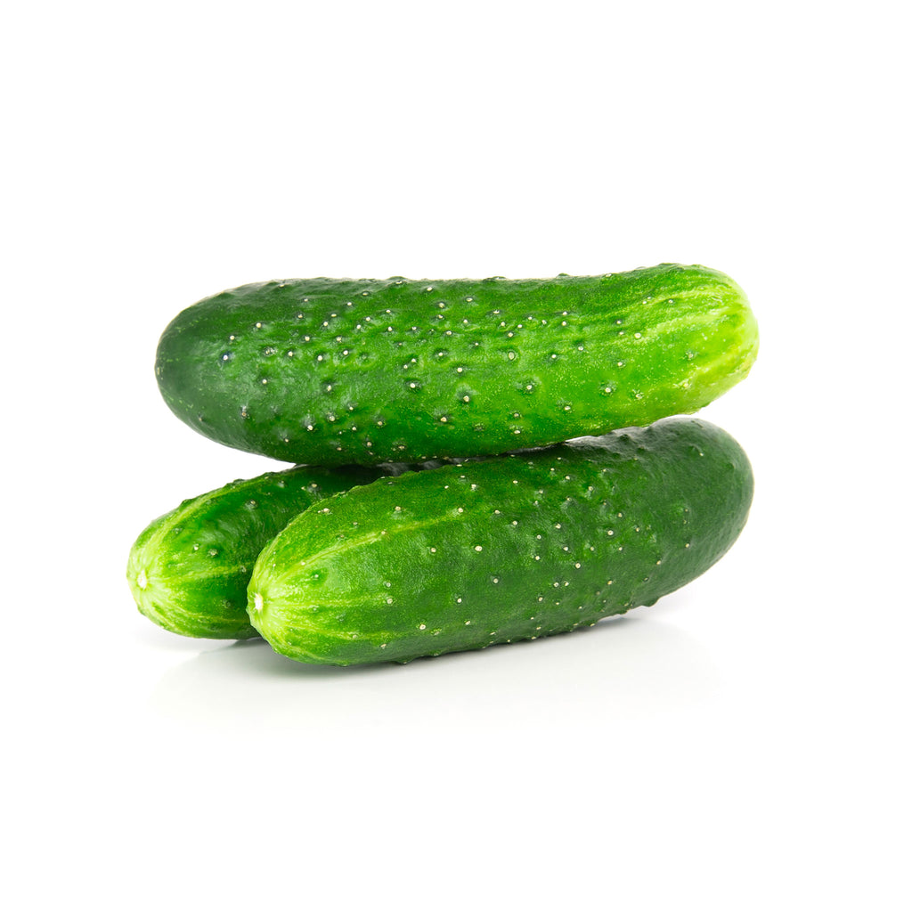 Cucumber Beit Alpha Seeds – GardenGuru