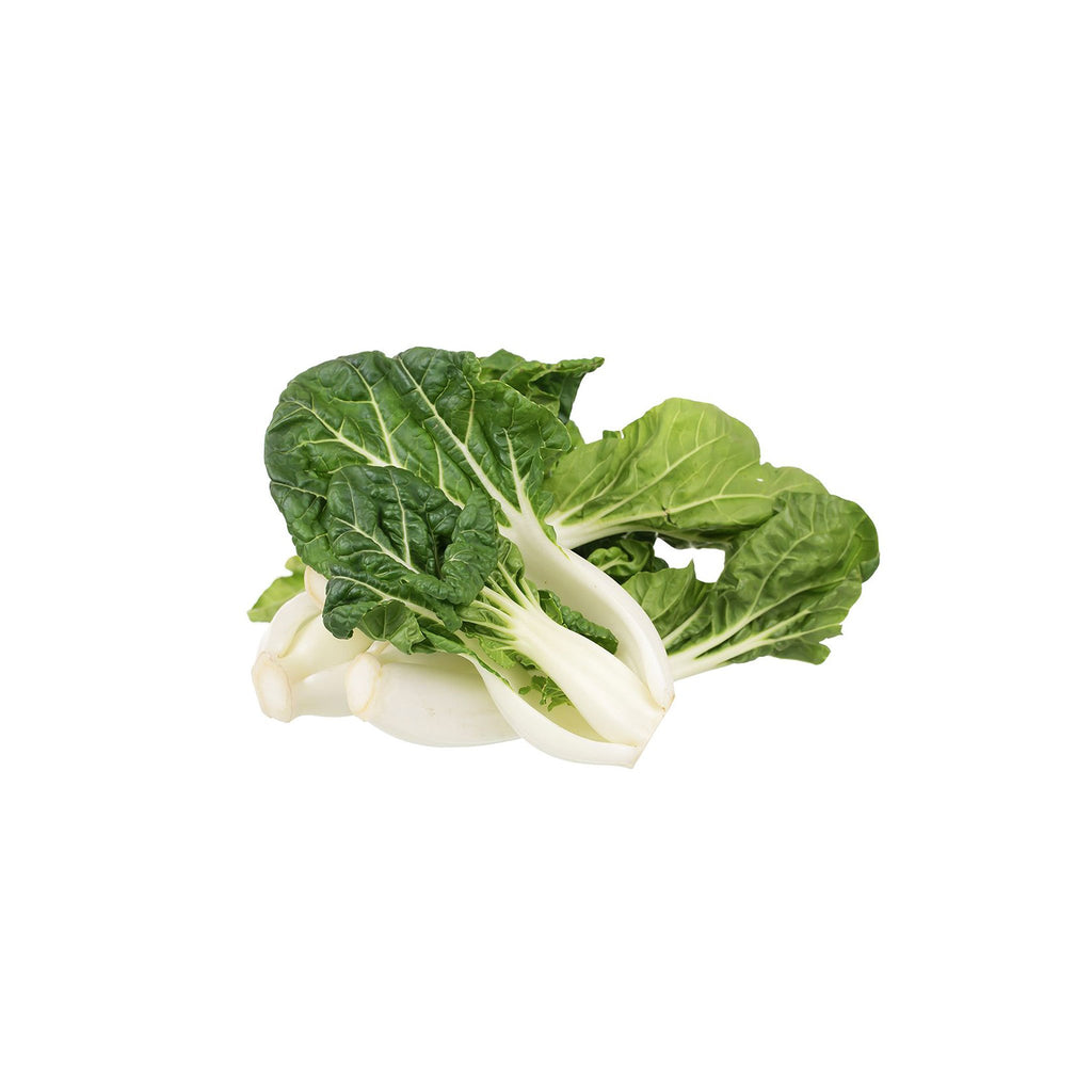Imported Pak Choi White – GardenGuru