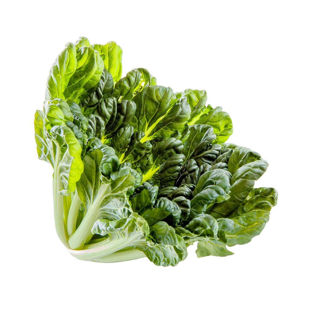 Tatsoi – GardenGuru