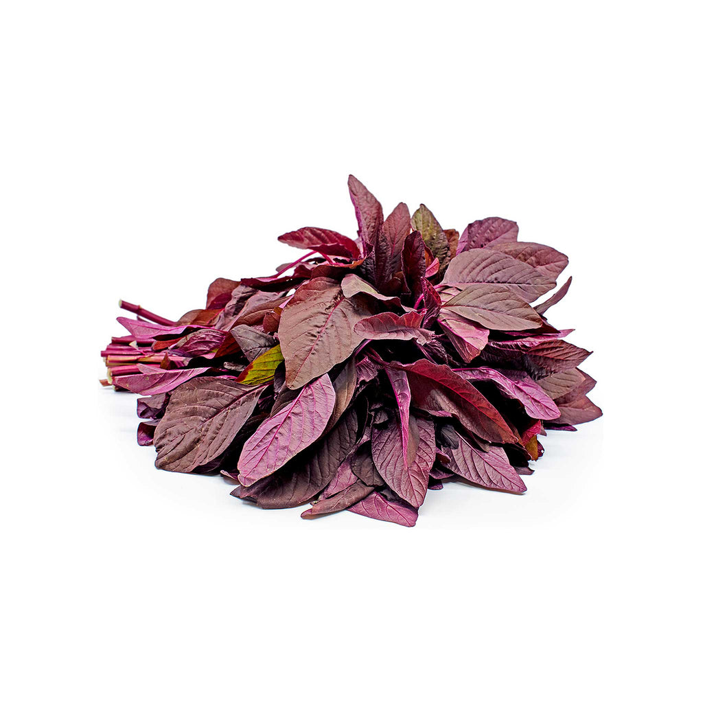 Amaranthus Chouli Red Jewel seeds – GardenGuru
