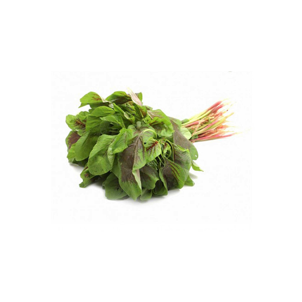 Amaranthus Chouli Green Jewel Seeds – GardenGuru