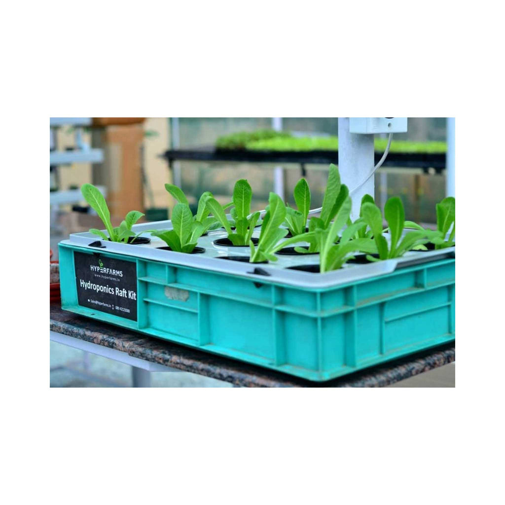 Mechanics Of Hydroponic Raft System