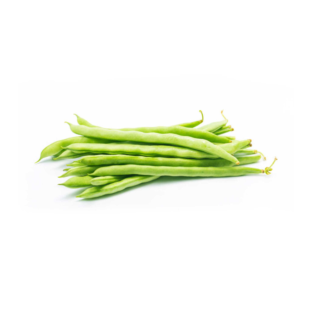 Pencil Beans Selection Nitara Seeds – GardenGuru