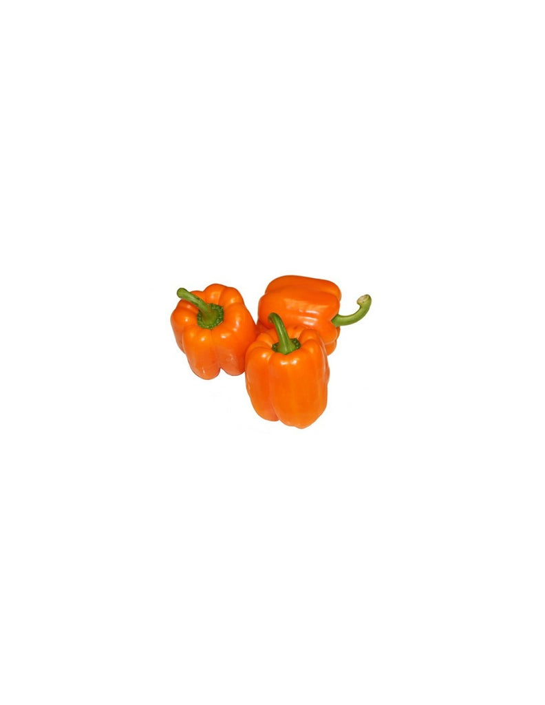 Imported Capsicum Orange seeds – GardenGuru