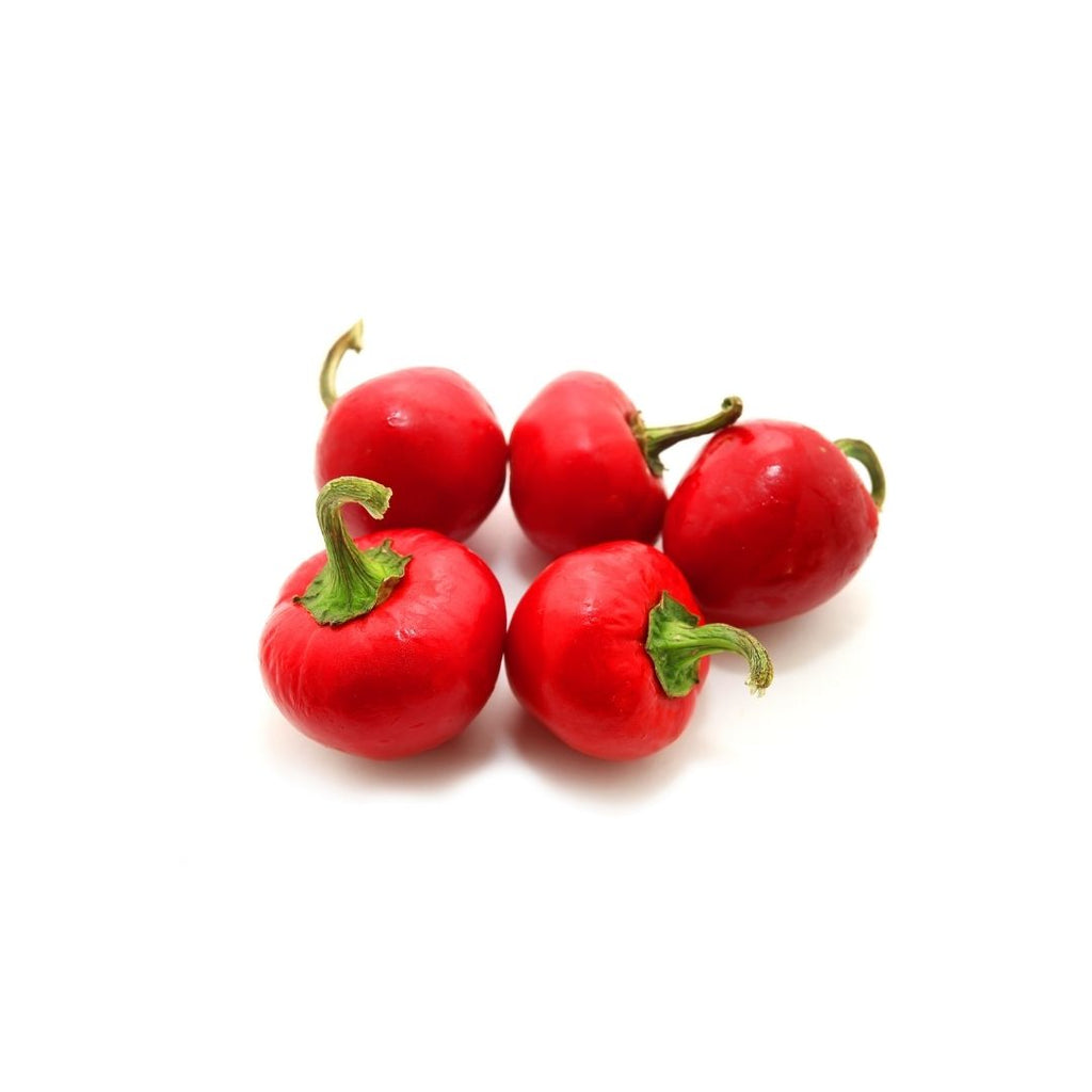 Hot Pepper Round Shaji seeds online India – GardenGuru
