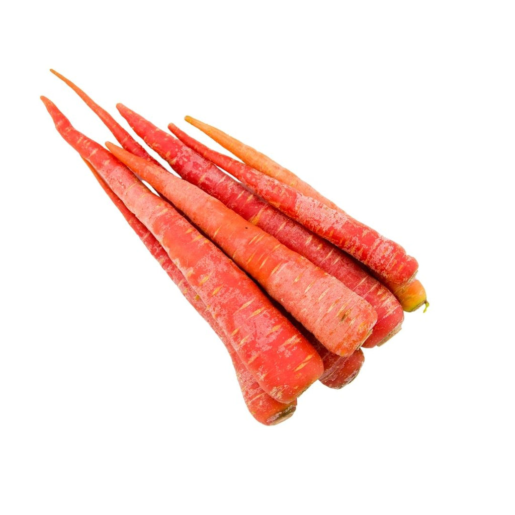 Red Carrot – GardenGuru