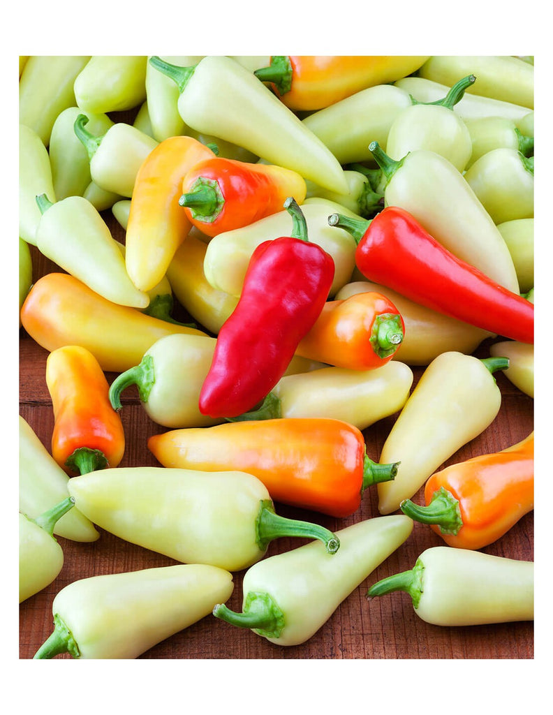 Santa Fe Grande Pepper – GardenGuru