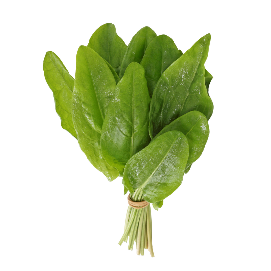 Sorrel – GardenGuru